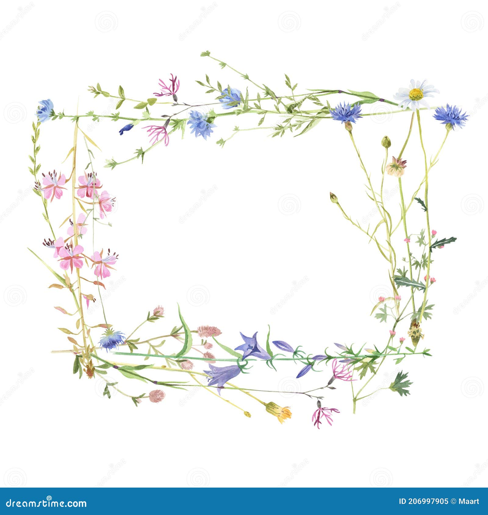 Rectangular Frame with Watercolor Meadow Flowers Stock Illustration ...
