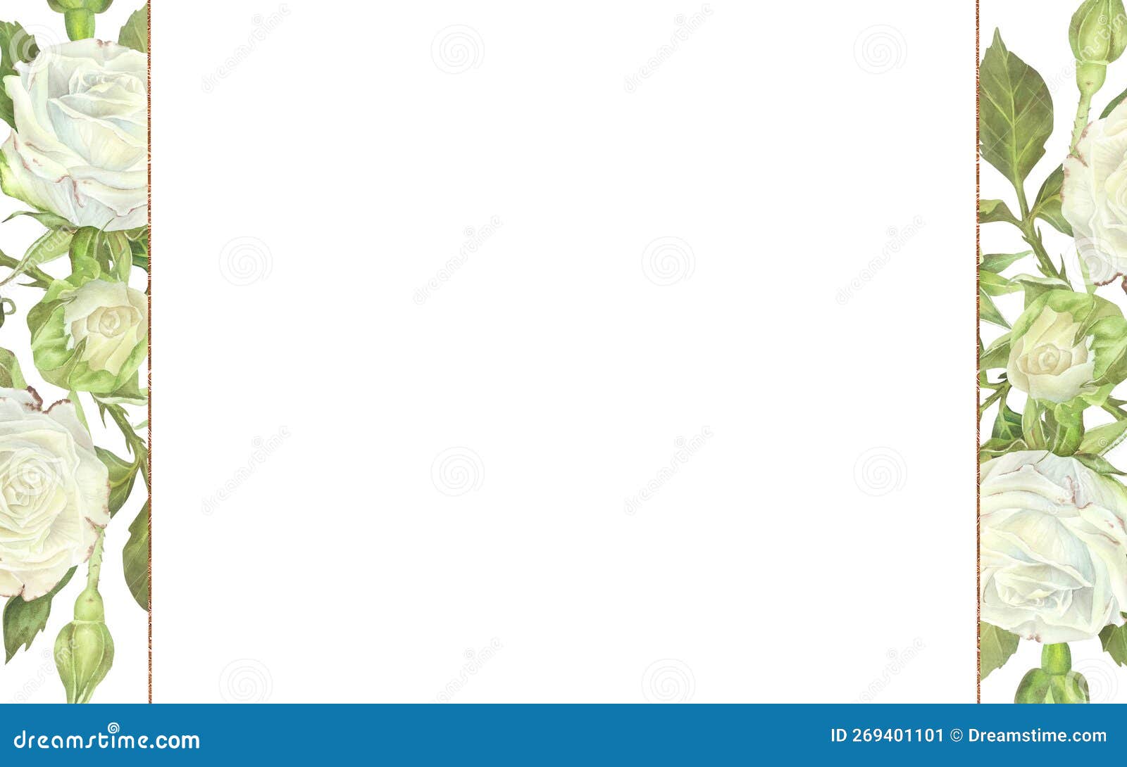 Rectangular Frame with White Roses and Leaves. Watercolor Illustration ...