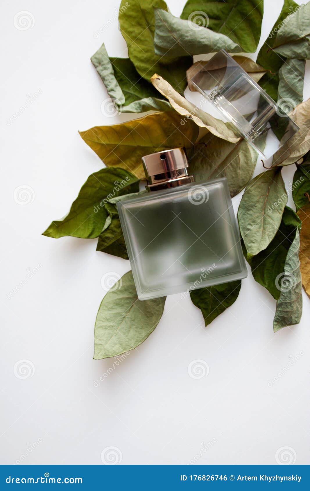 Rectangular Glass Perfume Bottle on Dried Leaves Stock Photo - Image of ...