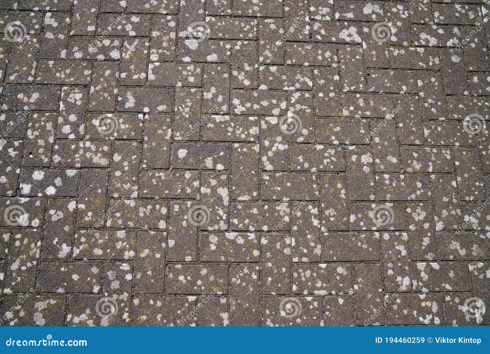 Rectangular, Gray Paving Slabs. Splattered With Light Paint Stock Image ...