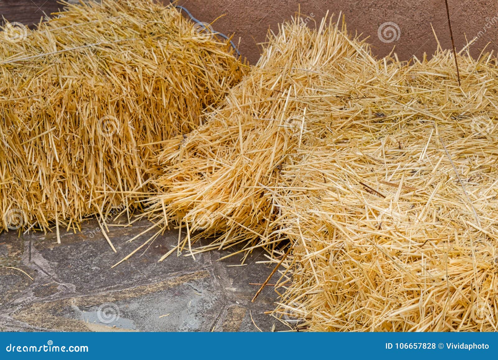 Rectangular hay bales stock photo. Image of feed, nature - 106657828