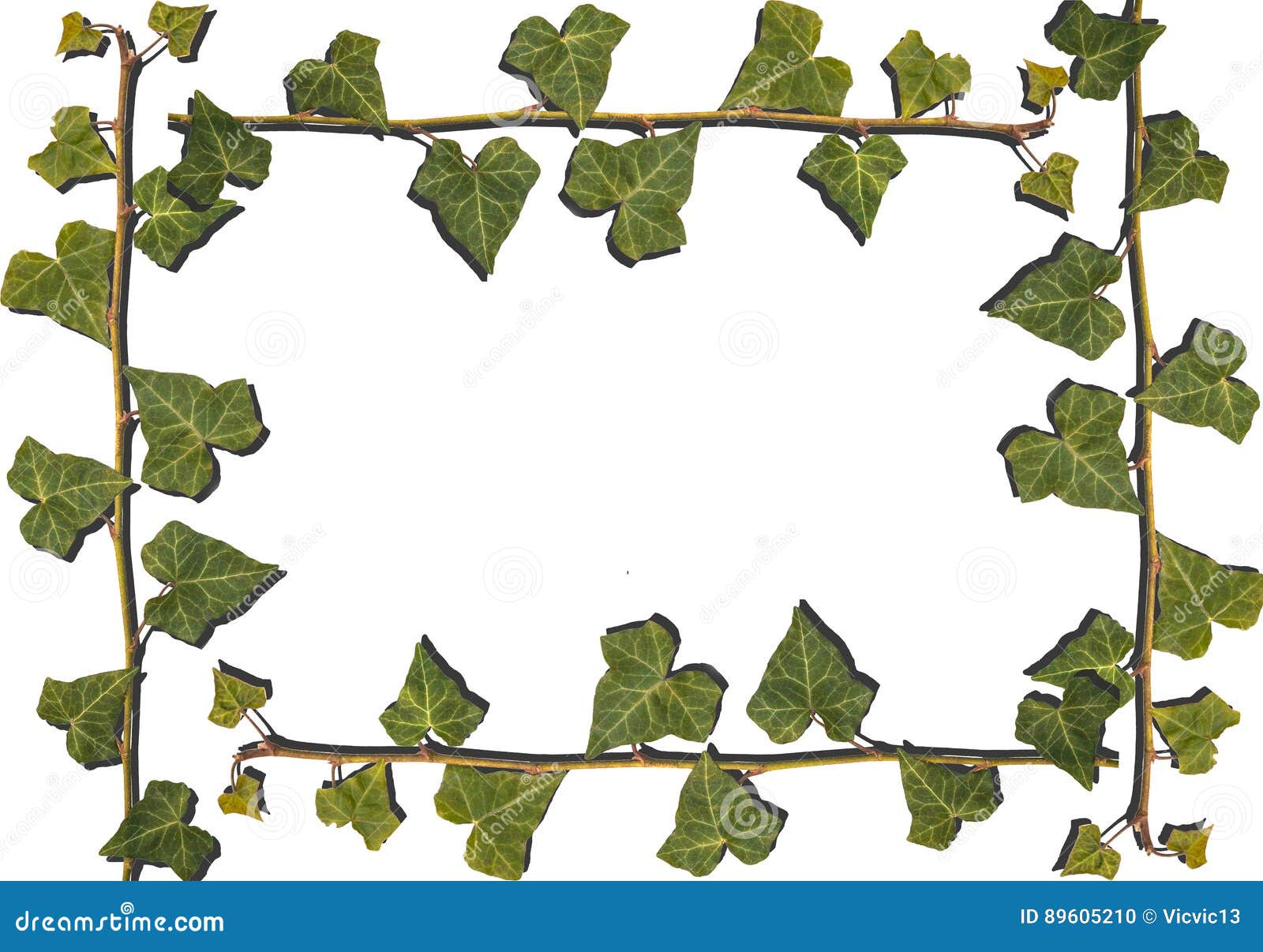 Rectangular ivy frame stock photo. Image of leaves, leaf - 89605210