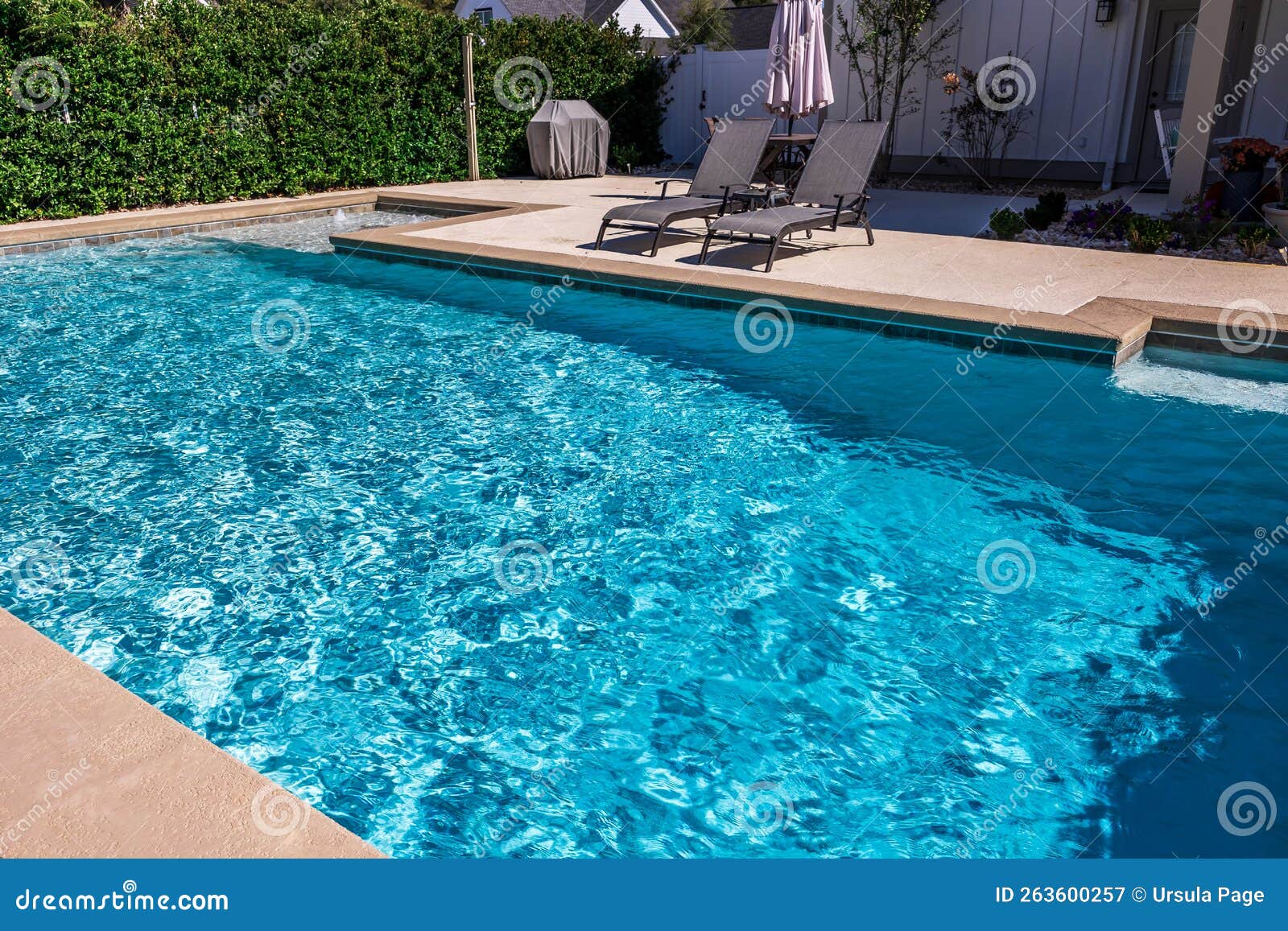 A Rectangular New Swimming Pool with Tan Concrete Edges in the Fenced ...