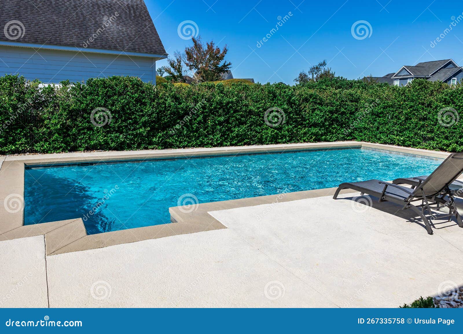 A Rectangular New Swimming Pool with Tan Concrete Edges in the Fenced ...