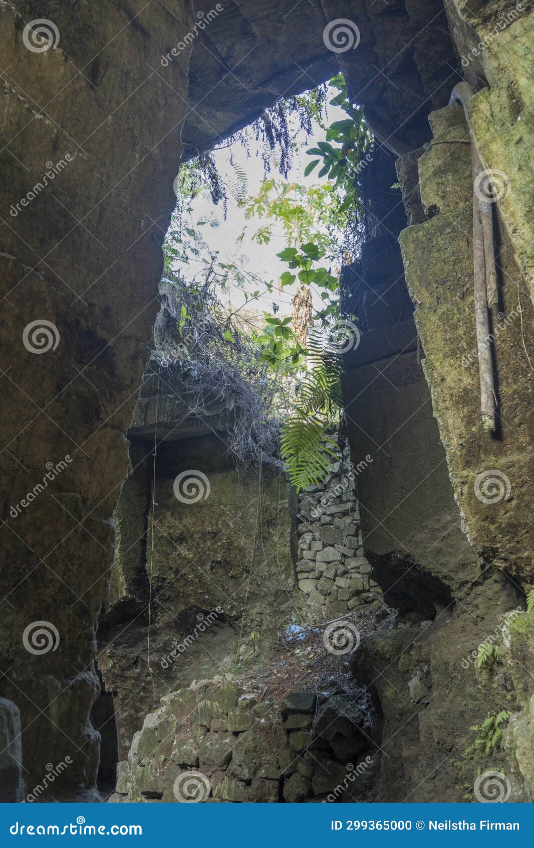 A Rectangular Opening in a Dark, Mossy Limestone Cave Frames a Bright ...