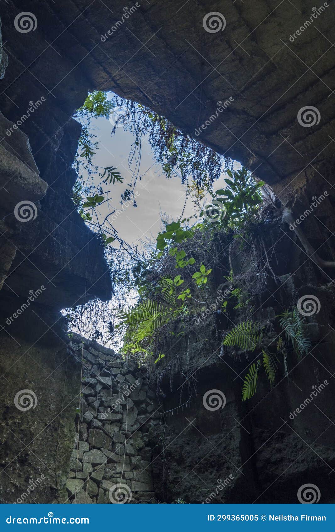 A Rectangular Opening in a Dark, Mossy Limestone Cave Frames a Bright ...