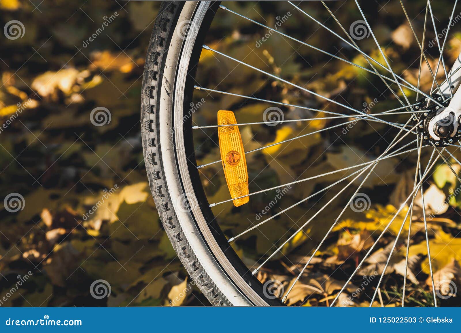 Orange Reflectors on Spokes of Bicycle Autumn Day Stock Image - Image ...
