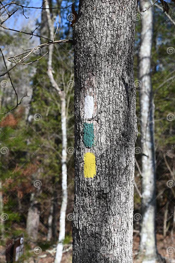 Trail Blazes stock photo. Image of coded, hike, markers - 175990012