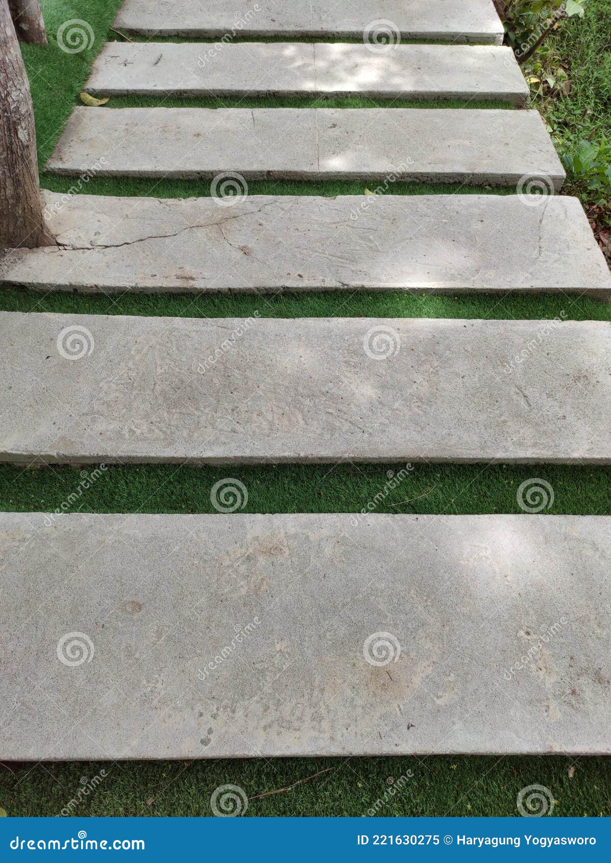 Path In The Middle Of The Fields, And Alley Of Trees In The Background ...