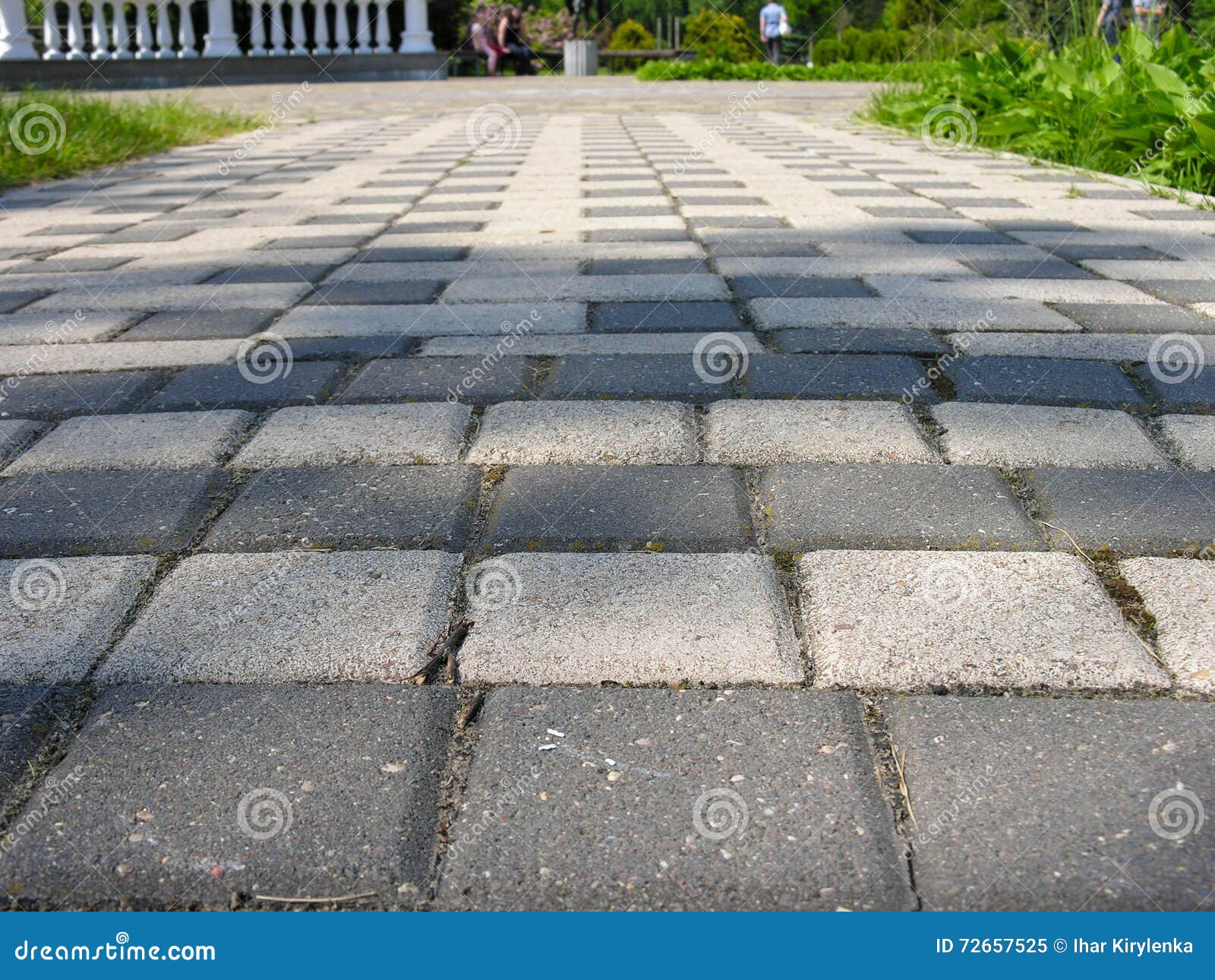 Rectangular paving path stock image. Image of green, alley - 72657525