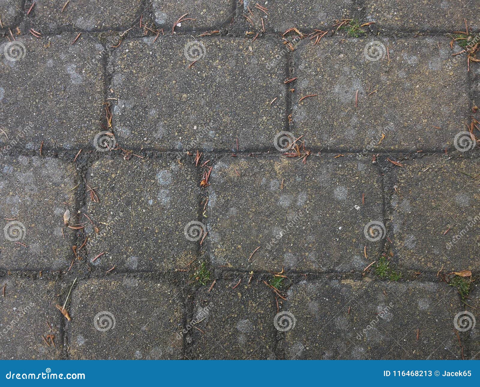 Paving stones stock image. Image of road, rectangular - 116468213