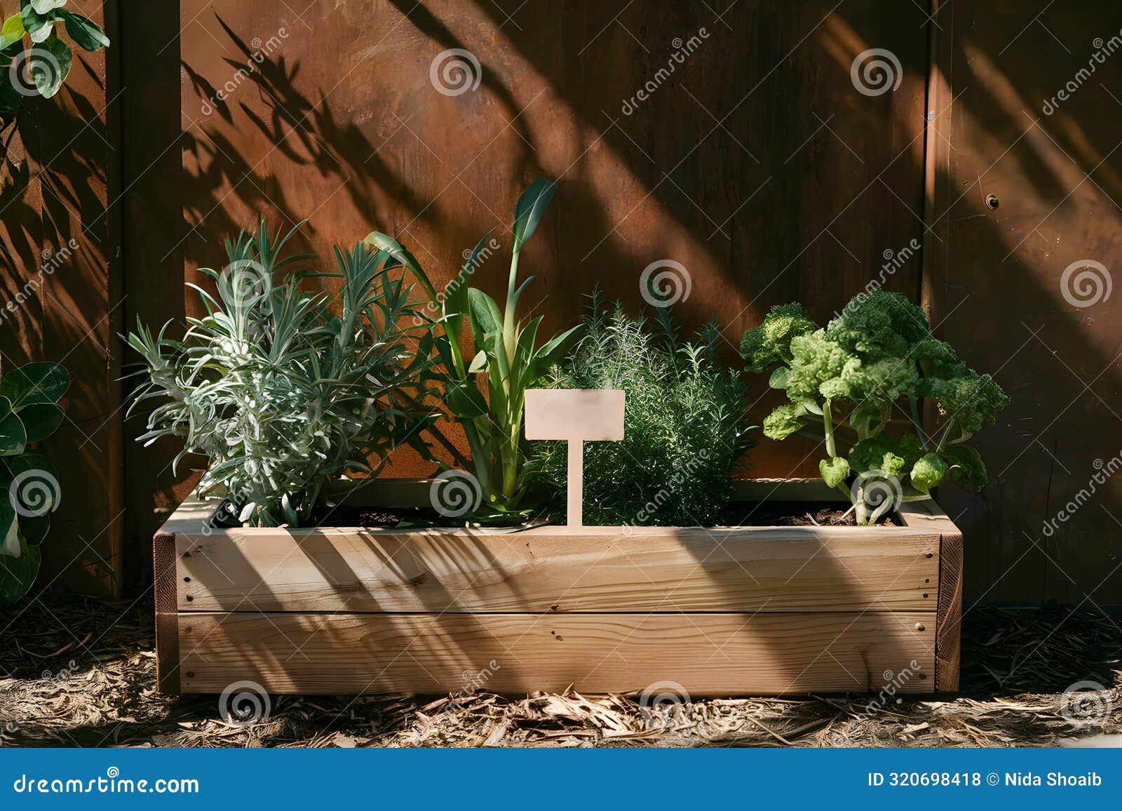 Rectangular Planter with Green Plants Against Rustic Wall, Labeled ...