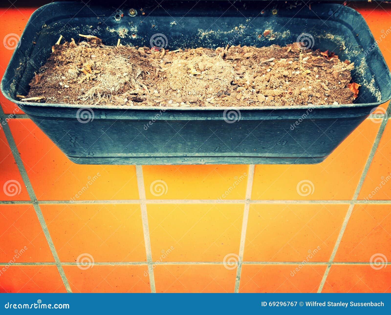 Rectangular Pot with Compost Stock Image - Image of plants, colorful ...