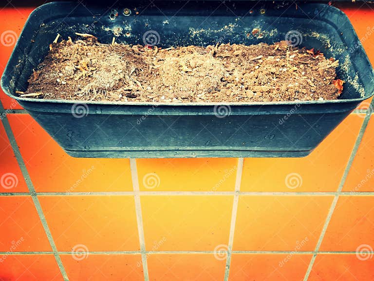 Rectangular Pot with Compost Stock Image - Image of plants, colorful ...
