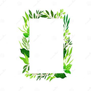Rectangular Shaped Frame with Green Leaves or Foliage Vector ...