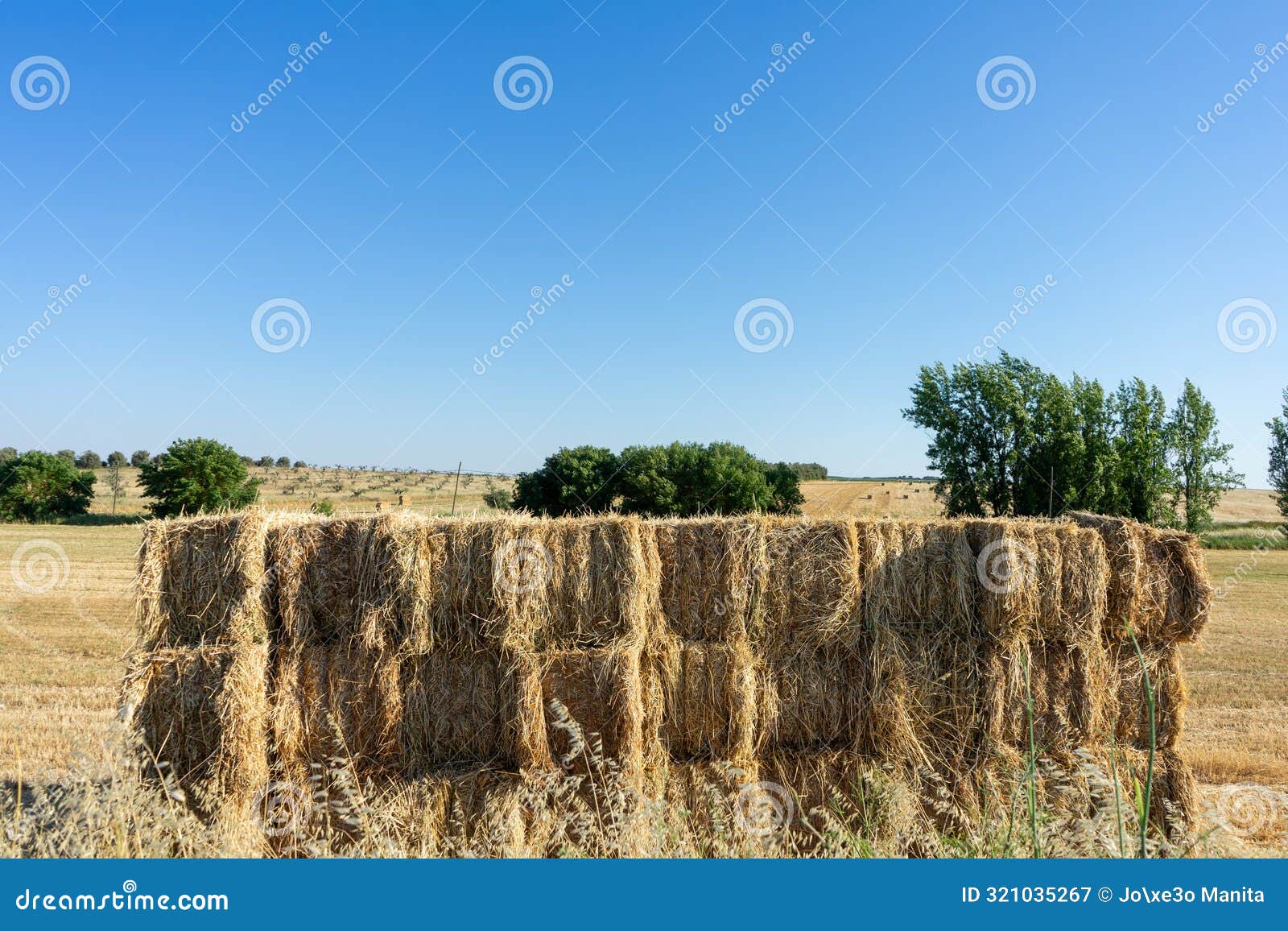 Rectangular Stack of Hay Bales in the Middle of a Field Under a Clear ...