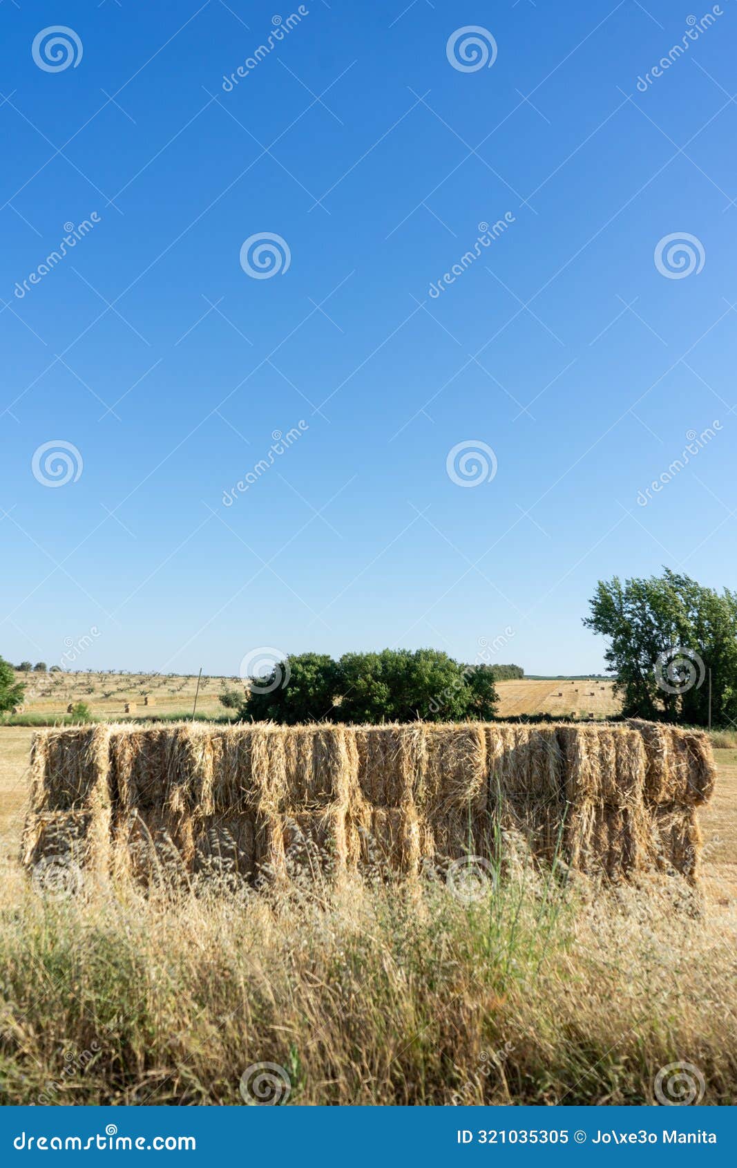 Rectangular Stack of Hay Bales in the Middle of a Field Under a Clear ...