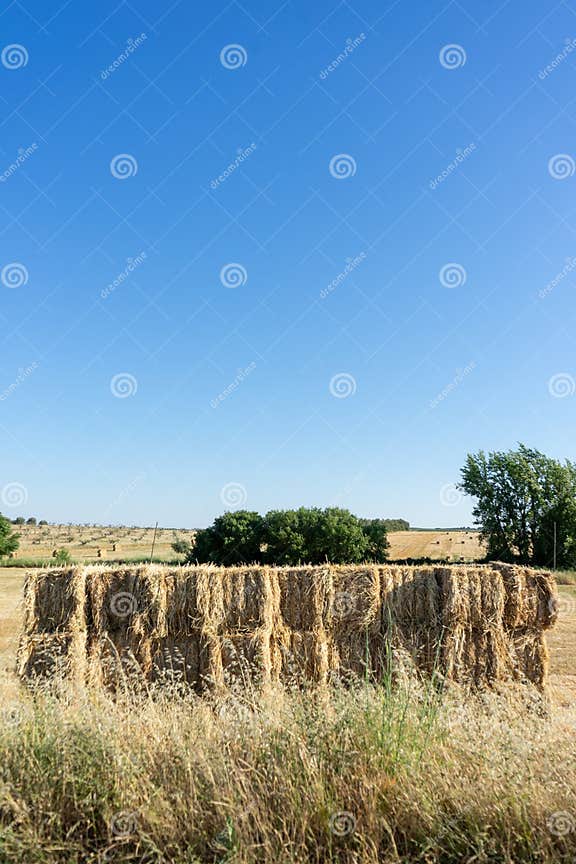 Rectangular Stack of Hay Bales in the Middle of a Field Under a Clear ...