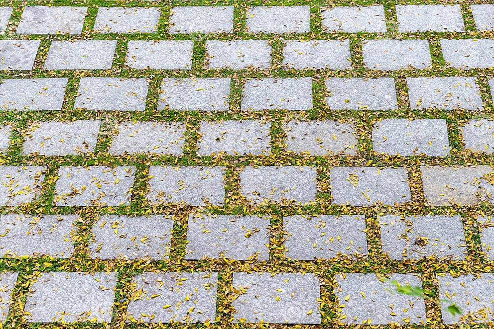 Rectangular Stone Walkways and Grass Space between Stone in Gard Stock ...