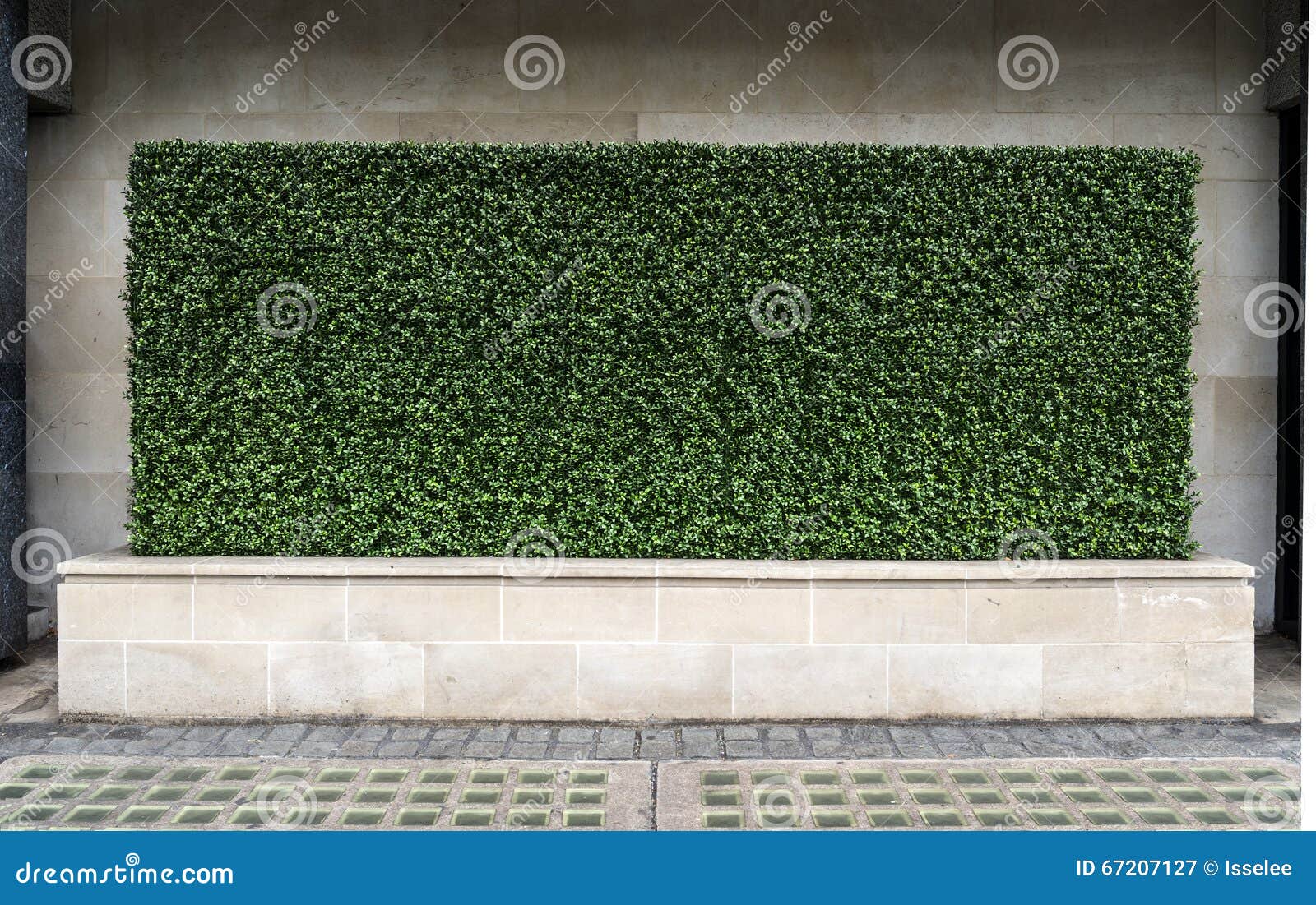 Rectangular street bush stock image. Image of city, bush - 67207127