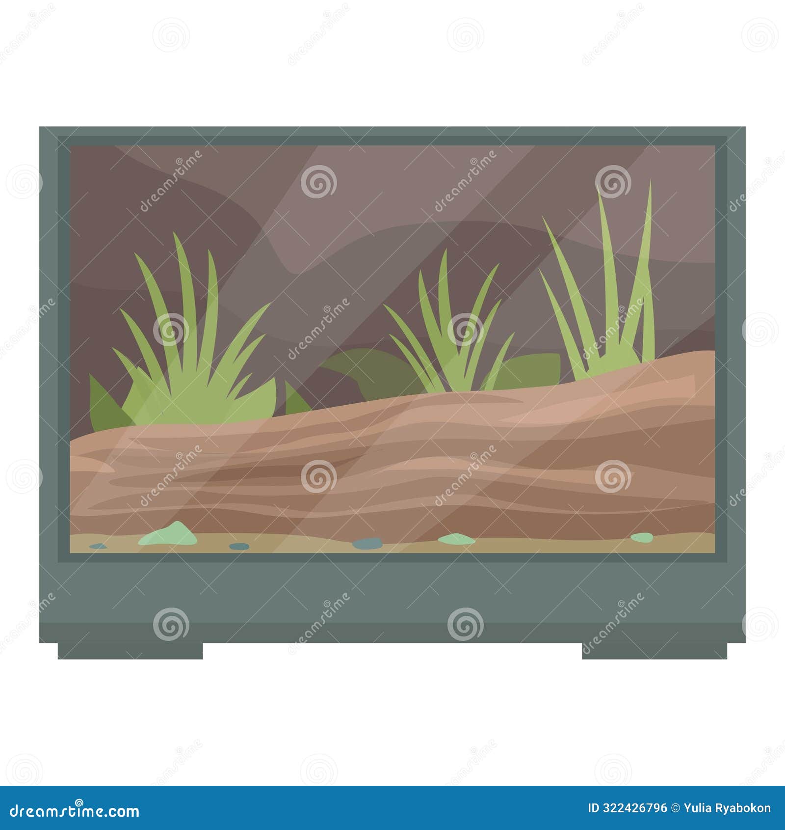 Empty Terrarium with Substrate and Plants is Waiting for Animal Stock ...