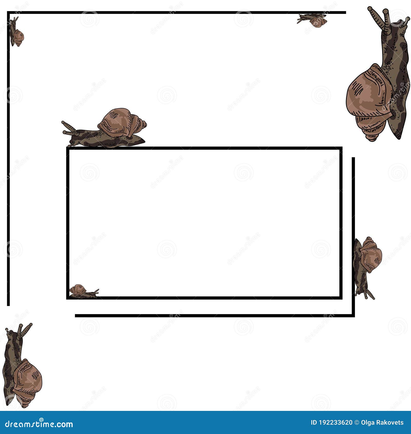 Frame Of Snails. Colorful Cartoon Funny Snail Whirl. Vector ...