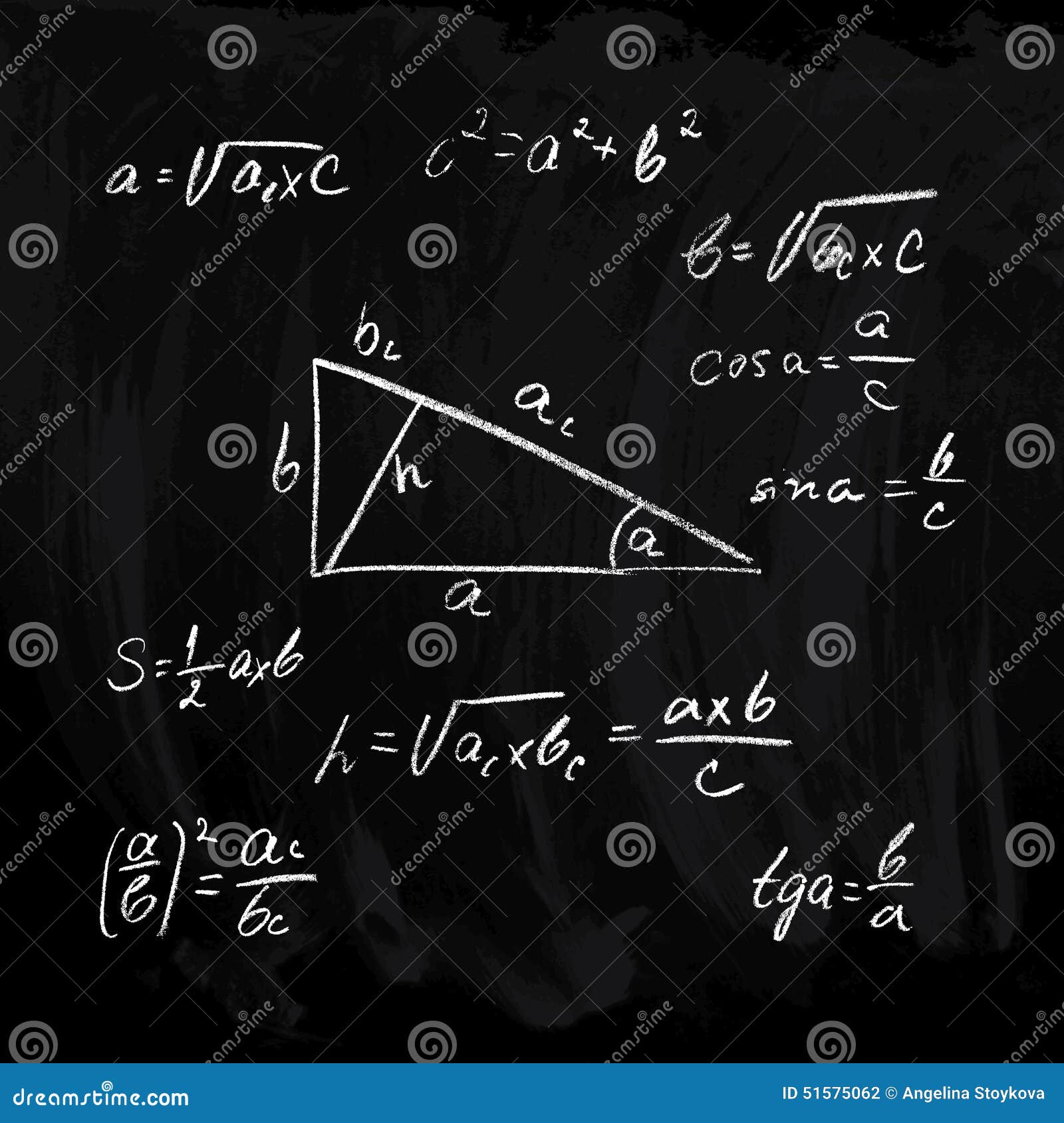 Rectangular Triangle Formulas Stock Vector Illustration Of Fact