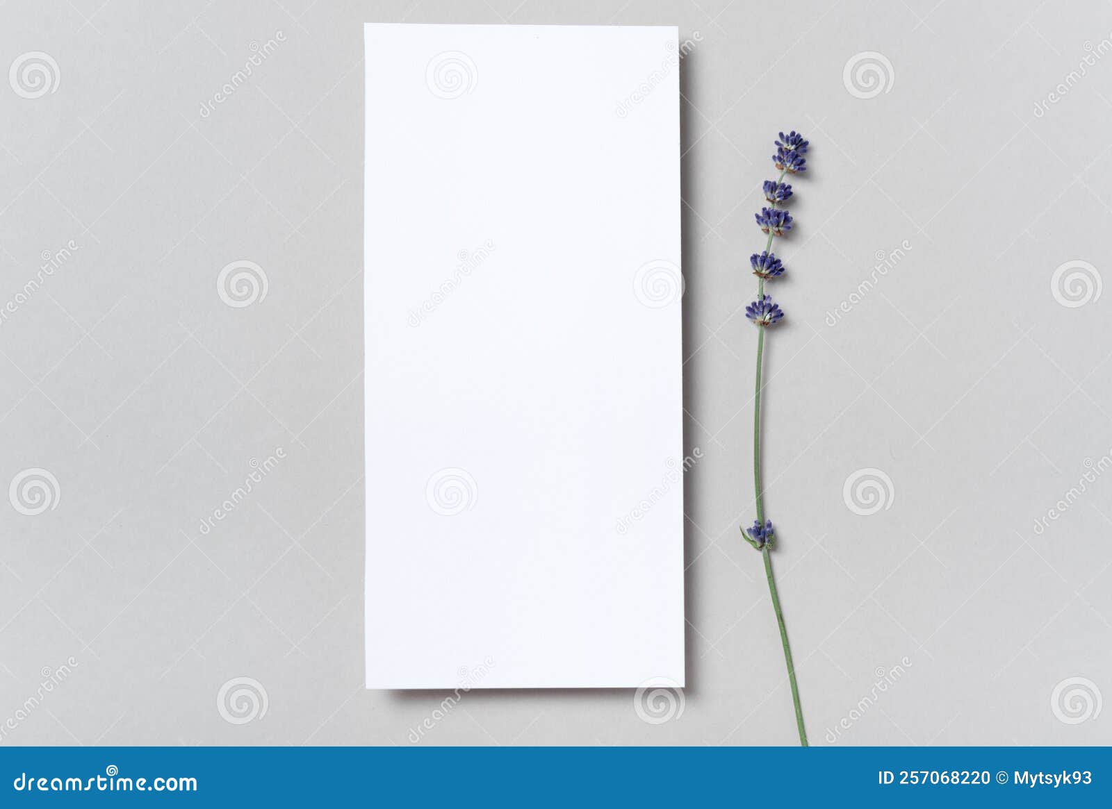 Rectangular Vertical or Square Invitation White Greeting Card Mockup ...