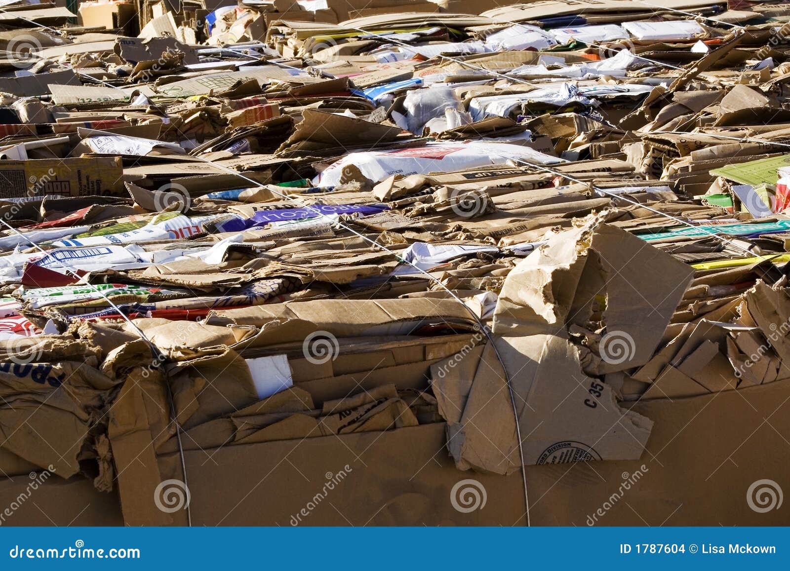Recycle stock photo. Image of ecological, filled, cardboard - 1787604