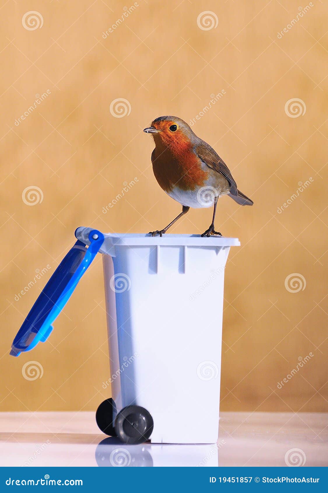 Recycle. stock image. Image of rubecula, birds, separate - 19451857