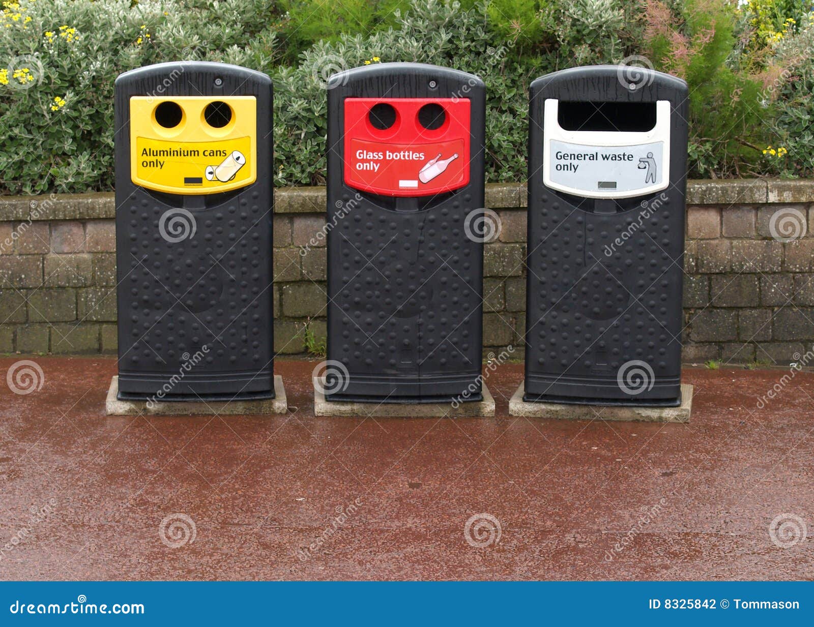 Recycle Bins stock photo. Image of recycle, ecology, environment - 8325842