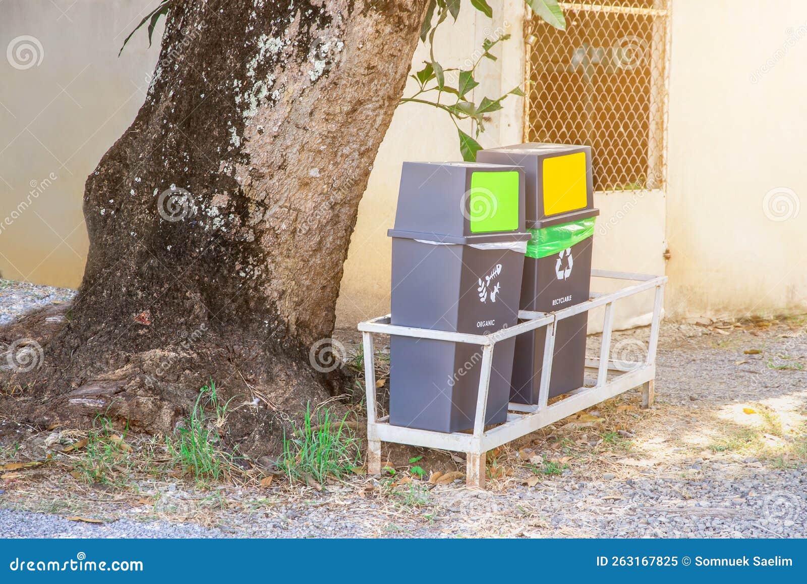 Recycle Bins and Organic Bins for Waste Sorting Stock Image - Image of ...