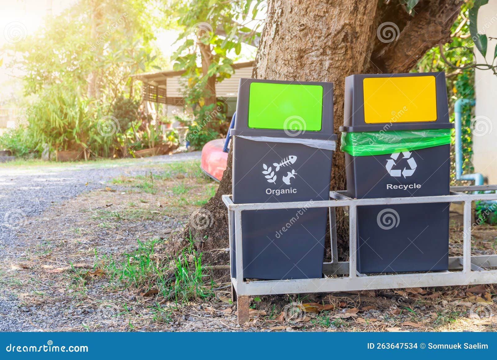 Recycle Bins and Organic Bins for Waste Sorting Stock Photo - Image of ...
