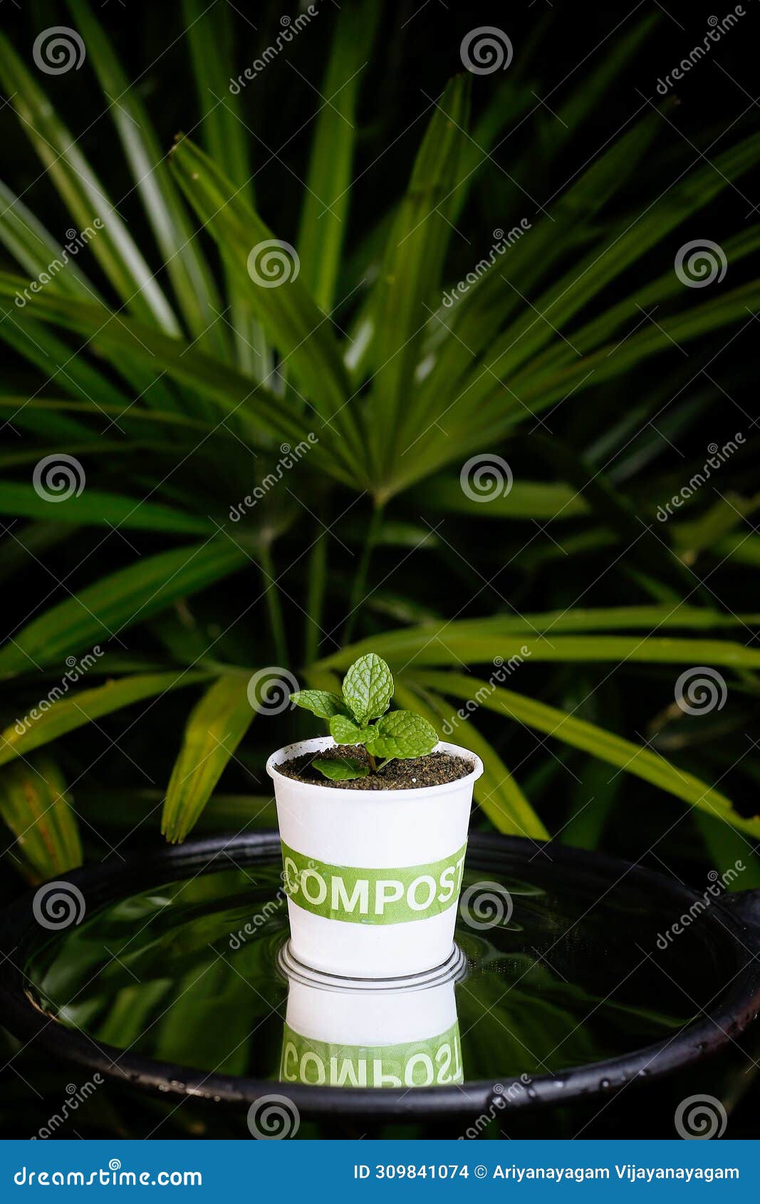 Recycle Compost Soil with Small Plant Stock Photo - Image of ...