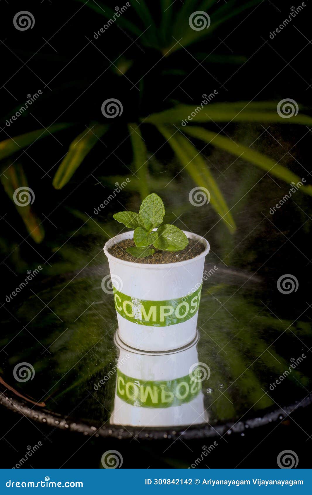 Recycle Compost Soil with Small Plant Stock Photo - Image of ...