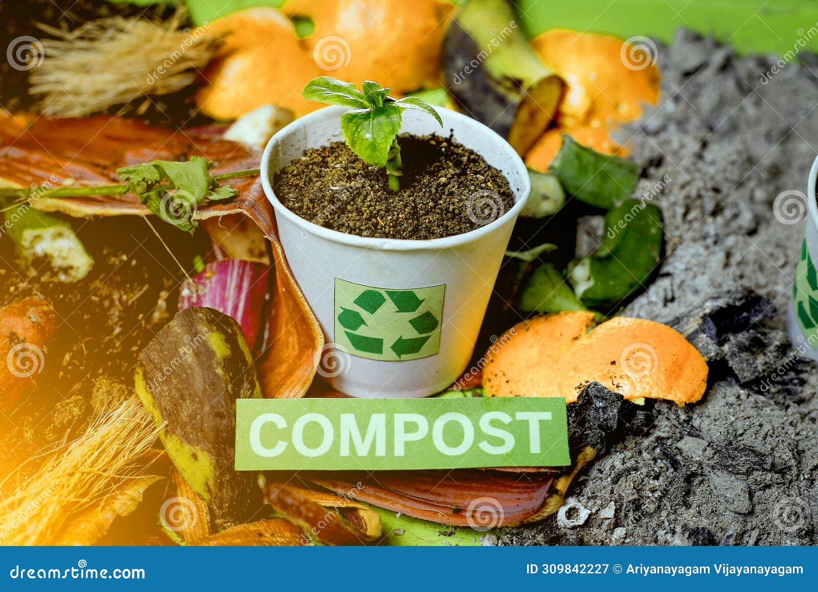 Composting How To Recycle Biowaste Stock Photo | CartoonDealer.com ...