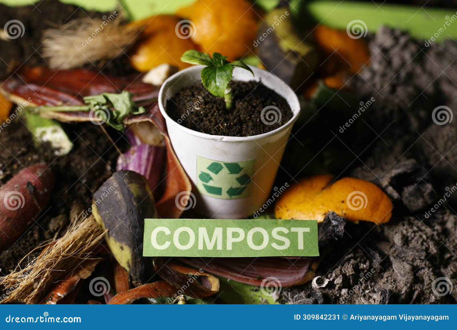 Recycle and composting stock image. Image of garbage - 309842231