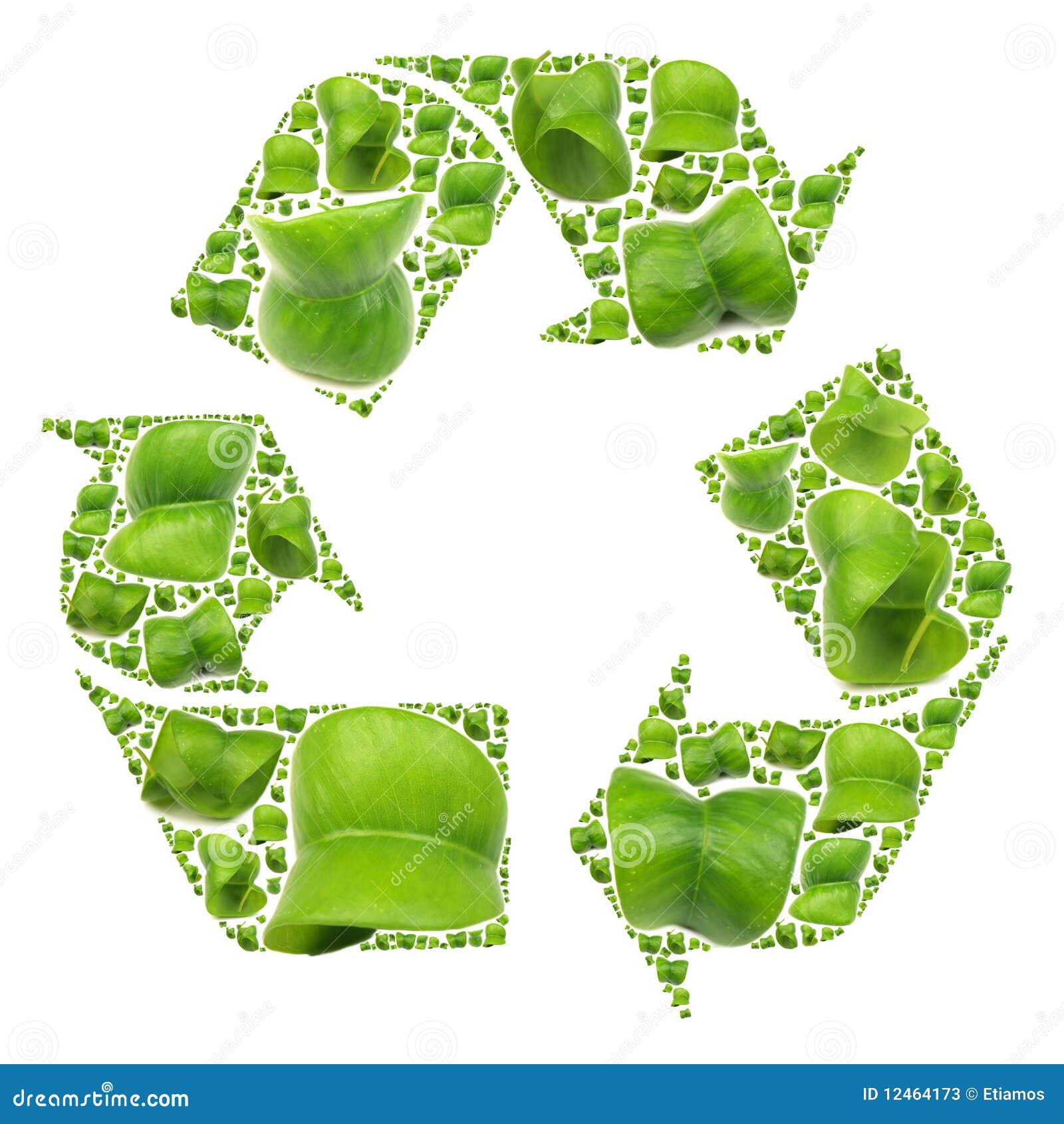 Recycle icon stock image. Image of leaf, environmental - 12464173