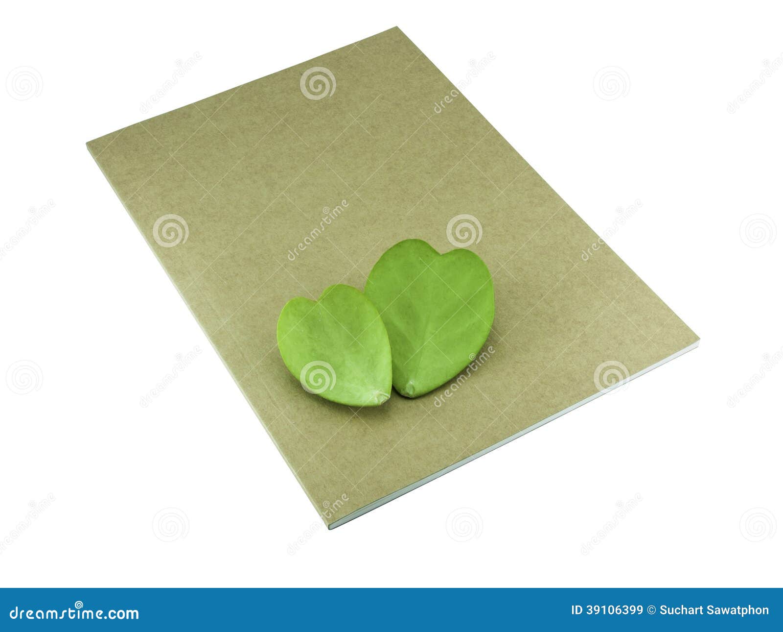 Eco Book with Leaf Isolated on White Stock Image - Image of heart ...