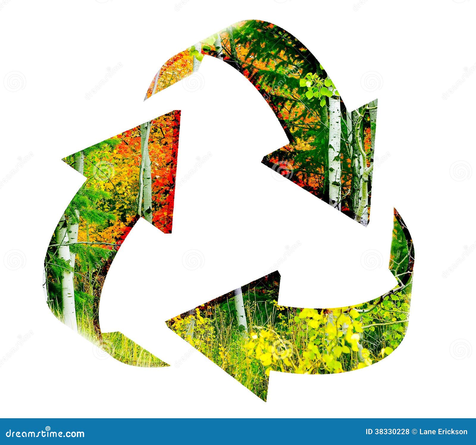 Recycle Symbol with Forest of Autumn Trees Stock Photo - Image of ...