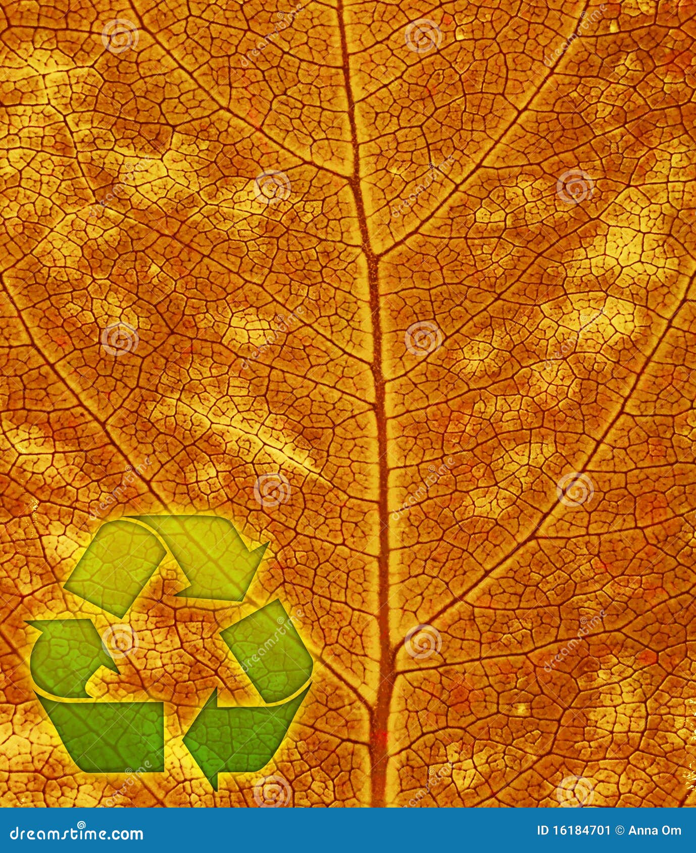 Recycle Symbol on the Leaf Background Stock Image - Image of leaf ...