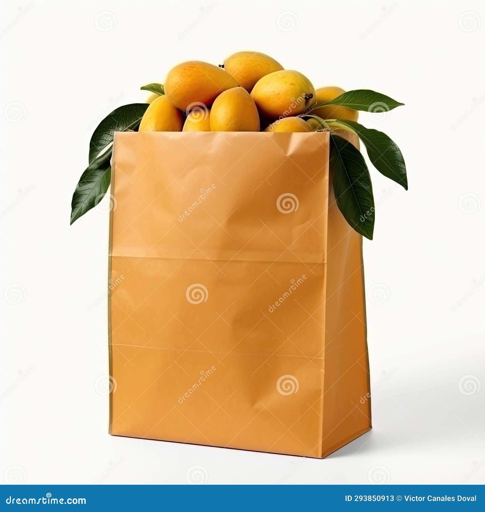 Recycled Bag with Mango Isolated on White Background Stock Image ...