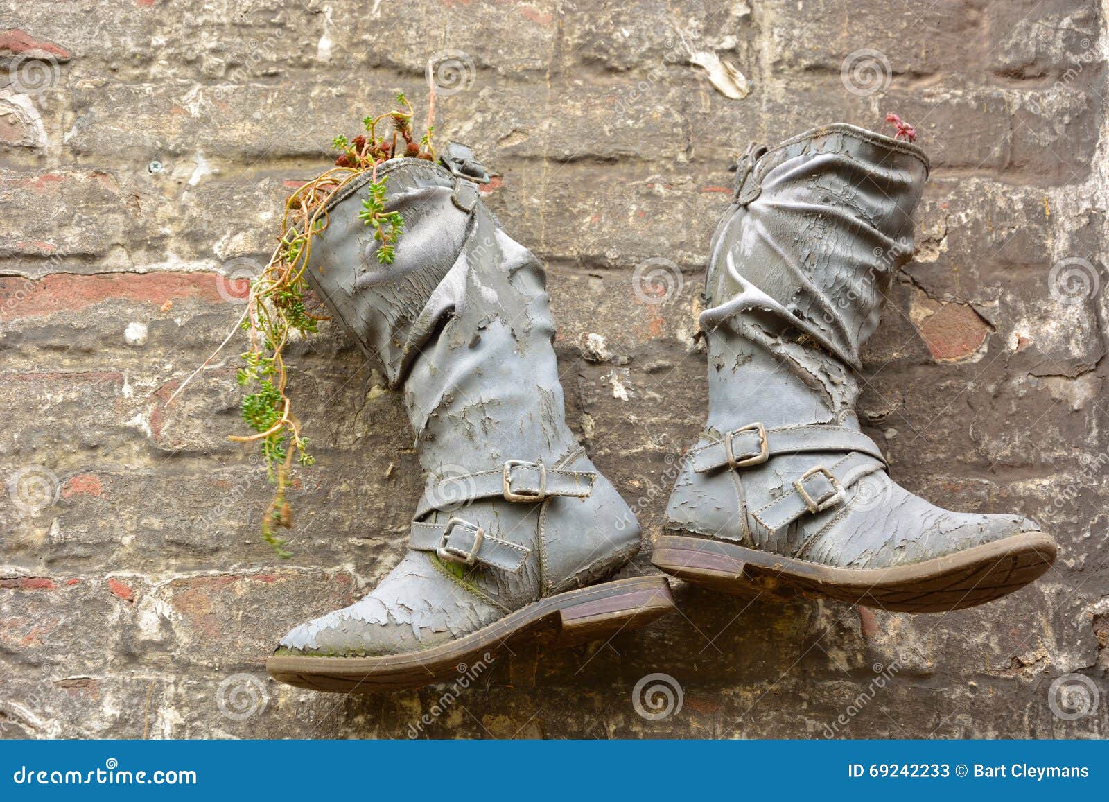 Recycled Boots Used As a Planter Stock Image - Image of wall, used ...