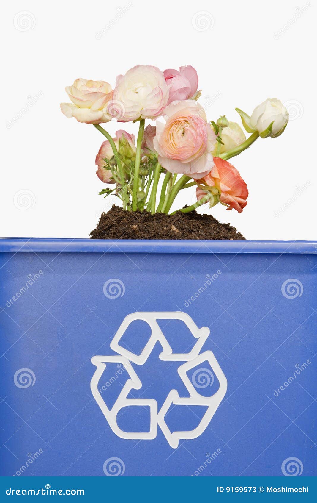 Recycled Bouquet stock image. Image of flowers, concepts - 9159573