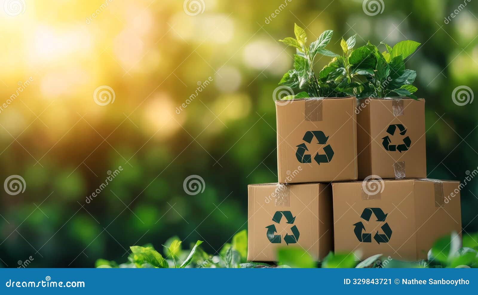 Recycled Boxes with Plants in Natural Setting Stock Image - Image of ...
