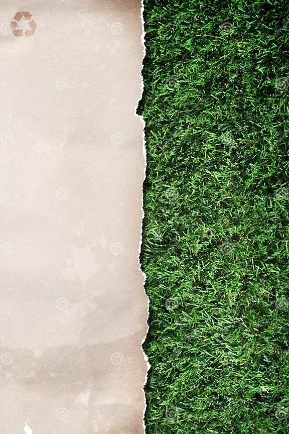 Recycled paper on grass stock photo. Image of notice - 25180404