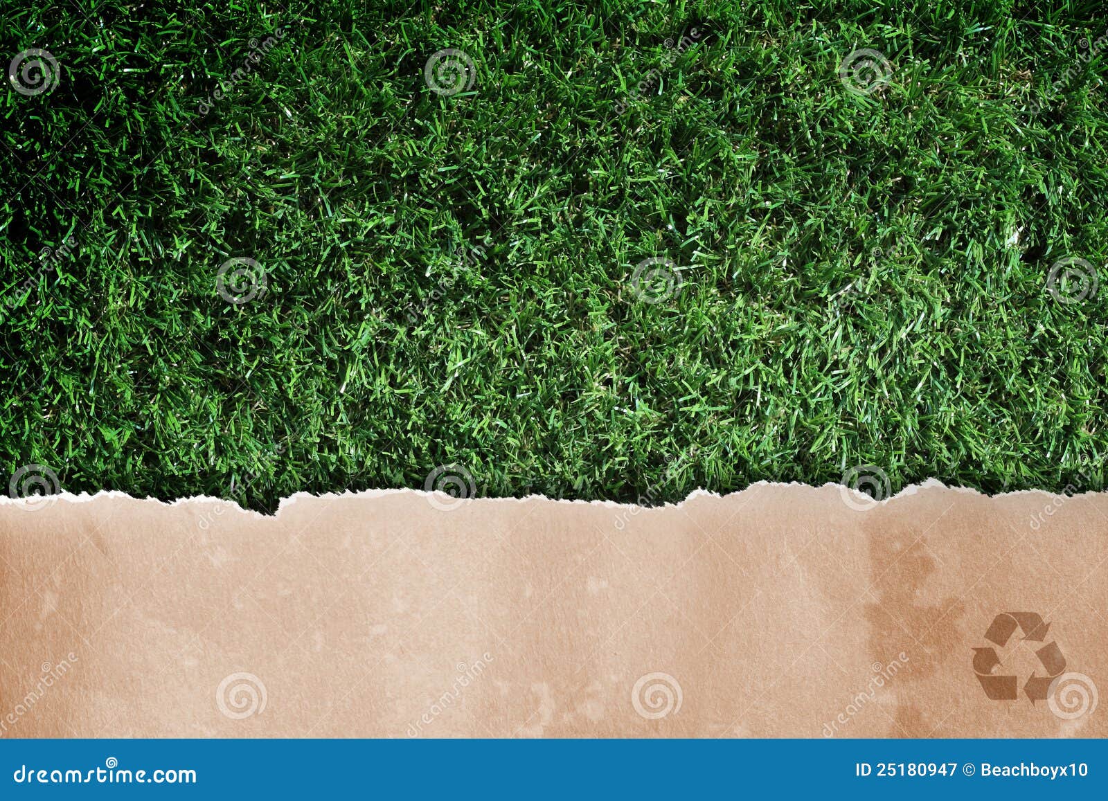 Recycled paper on grass. stock image. Image of paper - 25180947