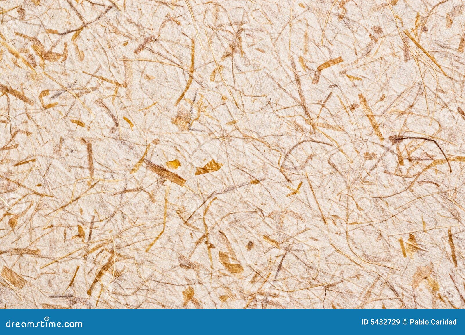 Recycled paper texture. stock image. Image of recycled - 5432729