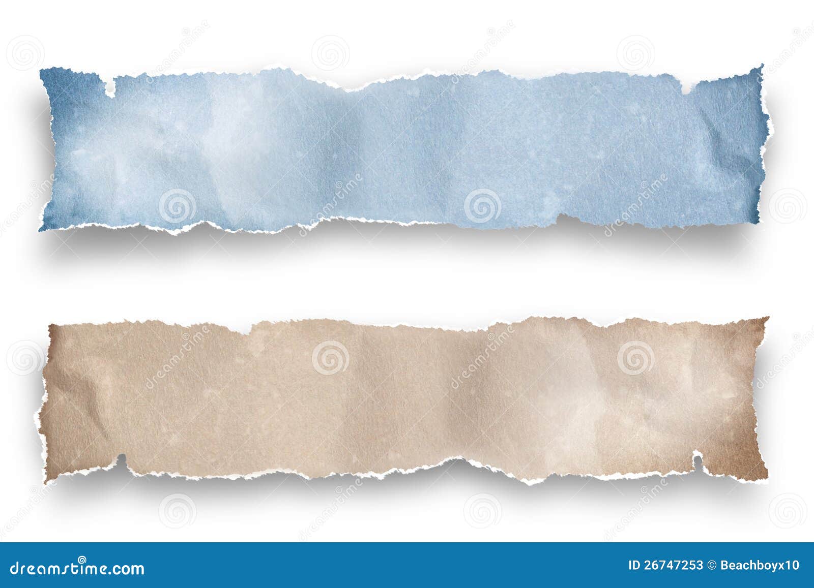 Ripped Note Paper Cartoon Vector | CartoonDealer.com #18524805