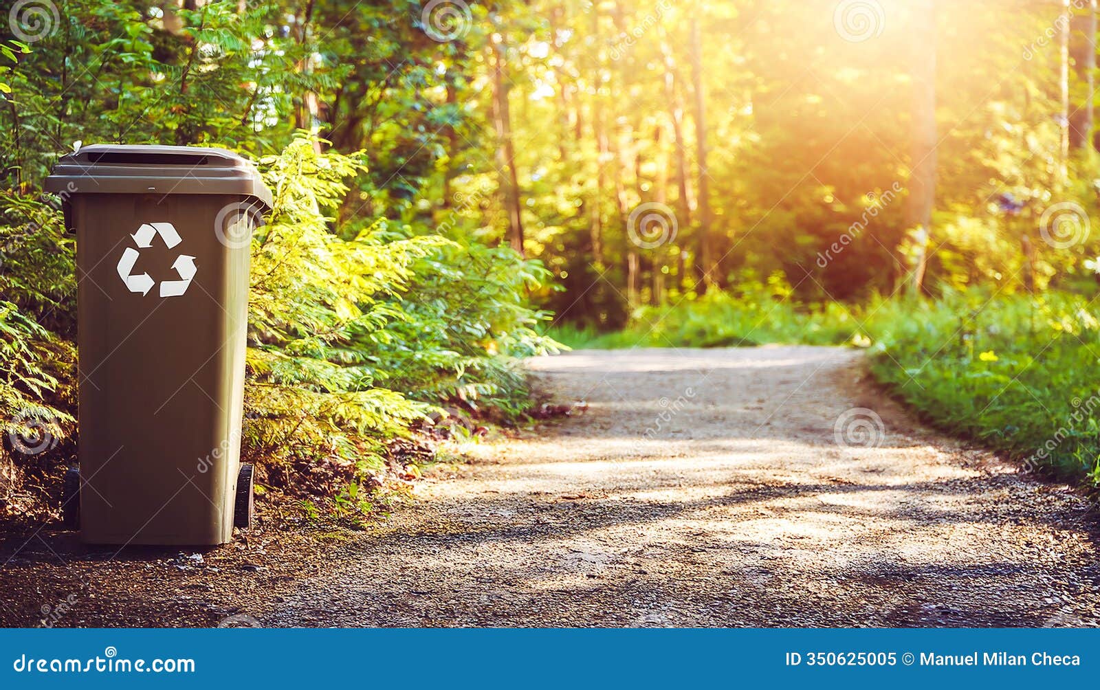 A Recycling Bin Placed on a Sunlit Forest Pathway, Symbolizing the ...